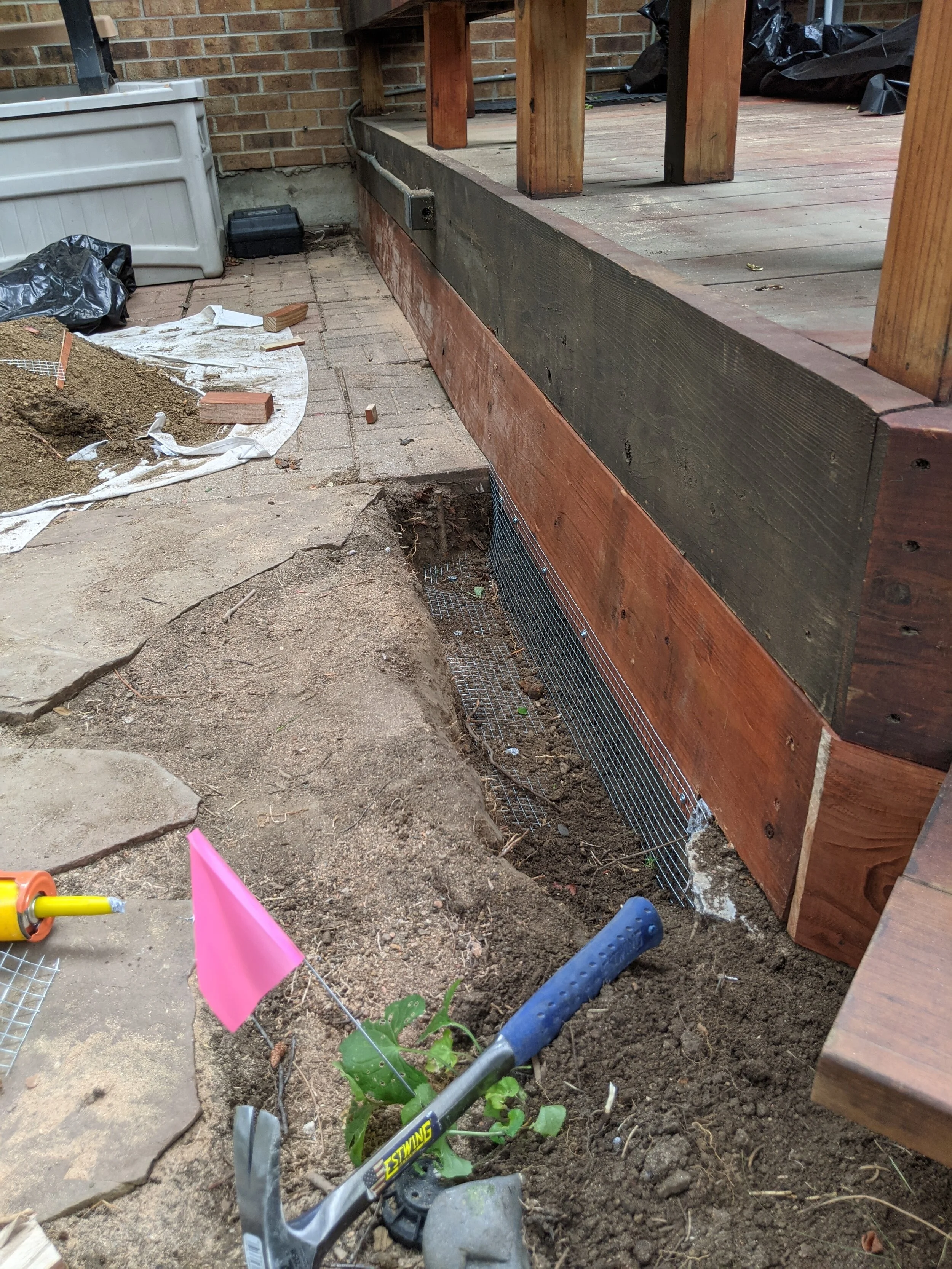 Rats - How to Get Rid of Them Under your Deck — Whitmore Pest ...