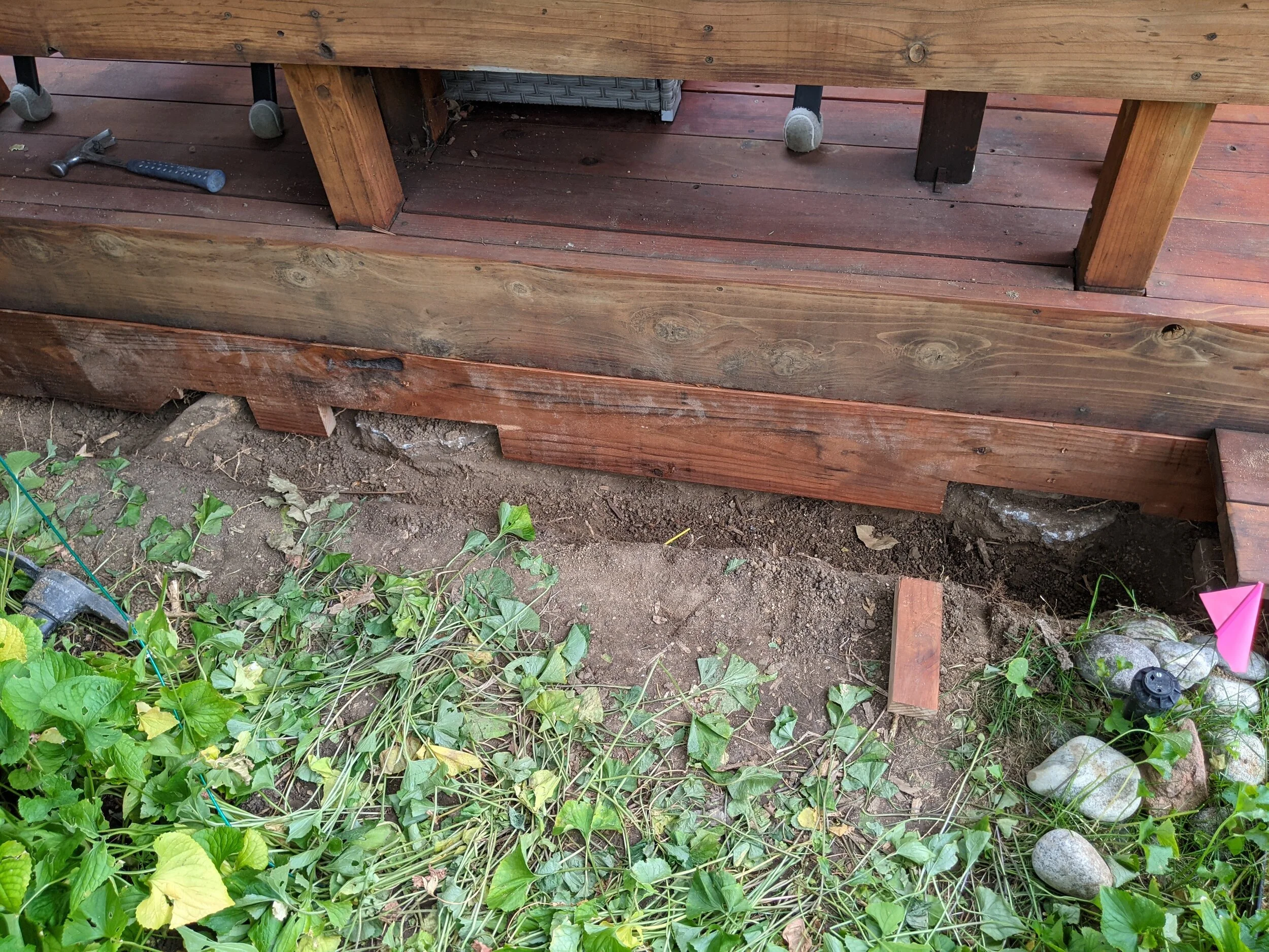 Rats - How to Get Rid of Them Under your Deck — Whitmore Pest ...
