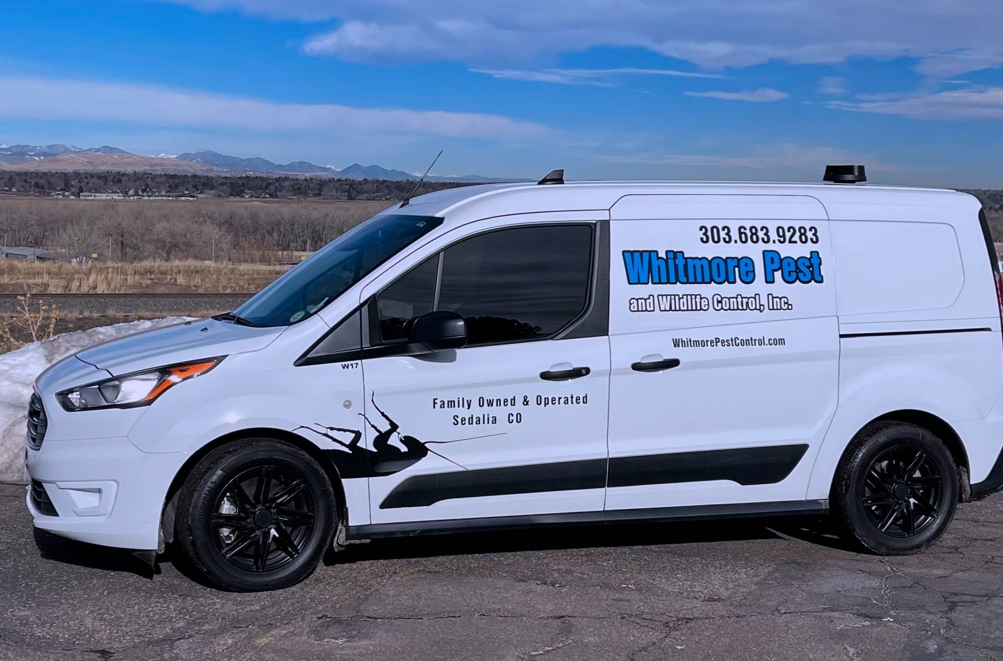 Whitmore Pest & Wildlife Control Services │ Denver Colorado Pest ...
