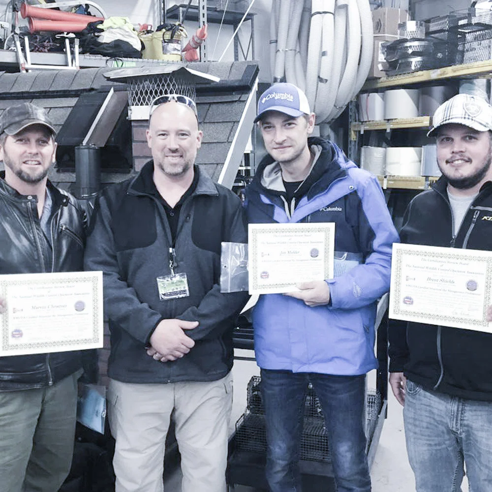 Whitmore Pest & Wildlife Control Services │ Denver Colorado Pest ...