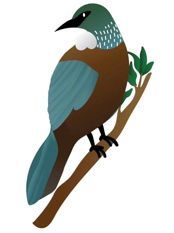 Tui Bird Clipart Png