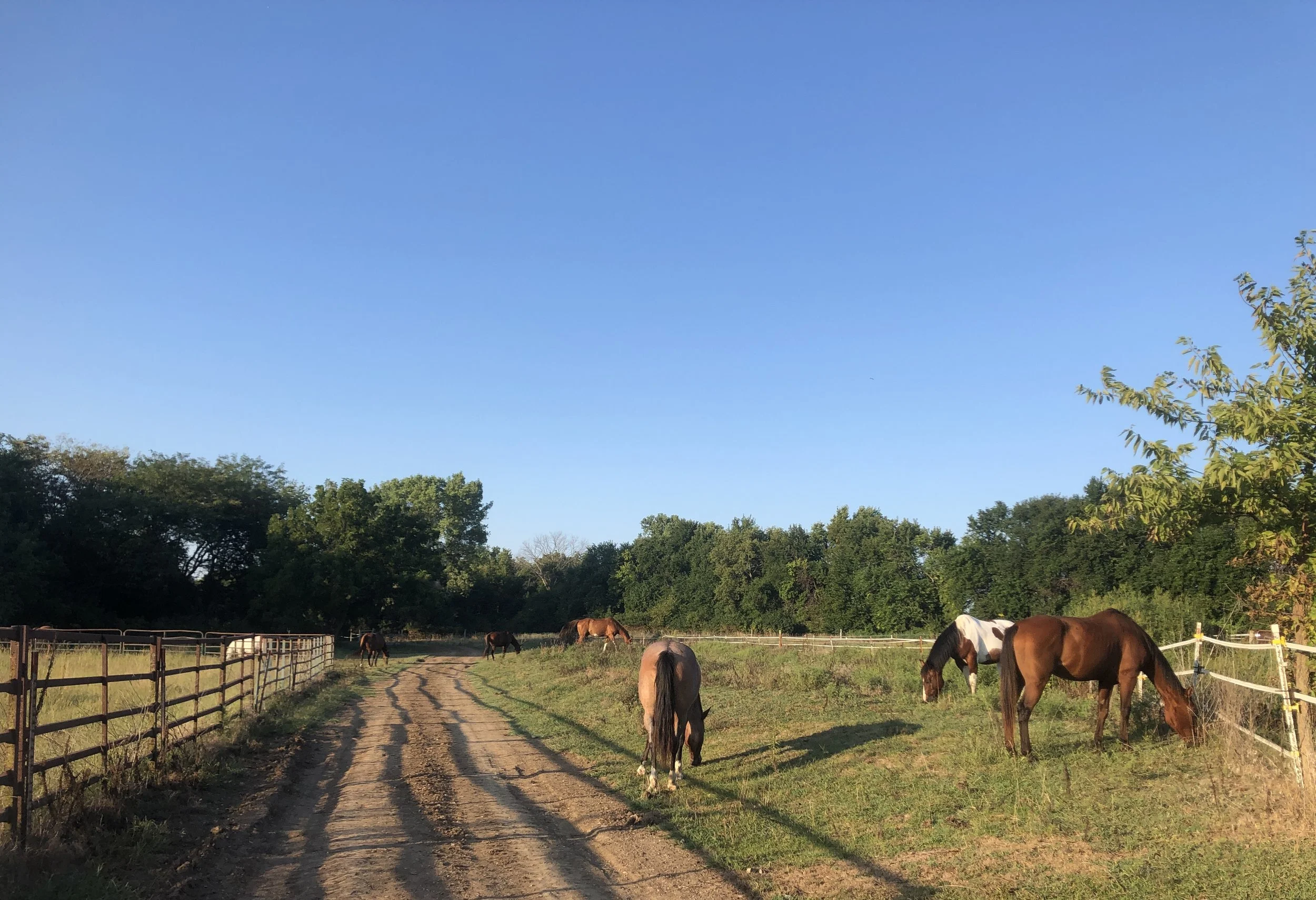 Memberships — Topeka Round Up Club
