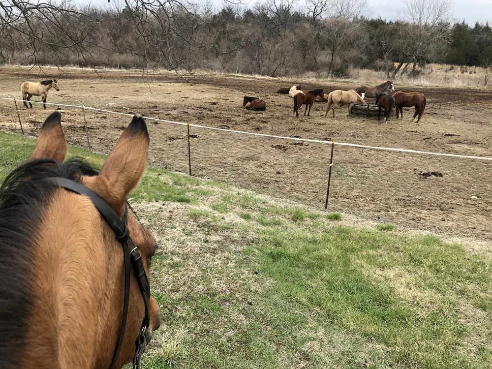 Team — Topeka Round Up Club