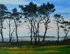 Popham Trees — KMeadvH Studio