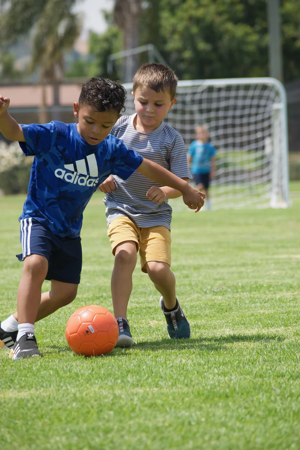 Next Level Athletics