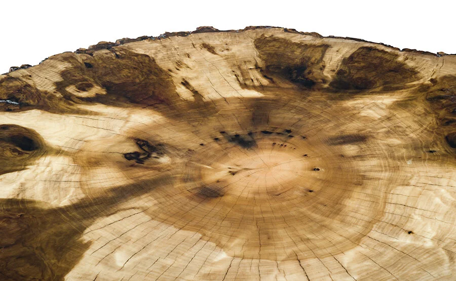 40 Inch Round Live Edge Coffee Table — Forest Ridge Woodworking