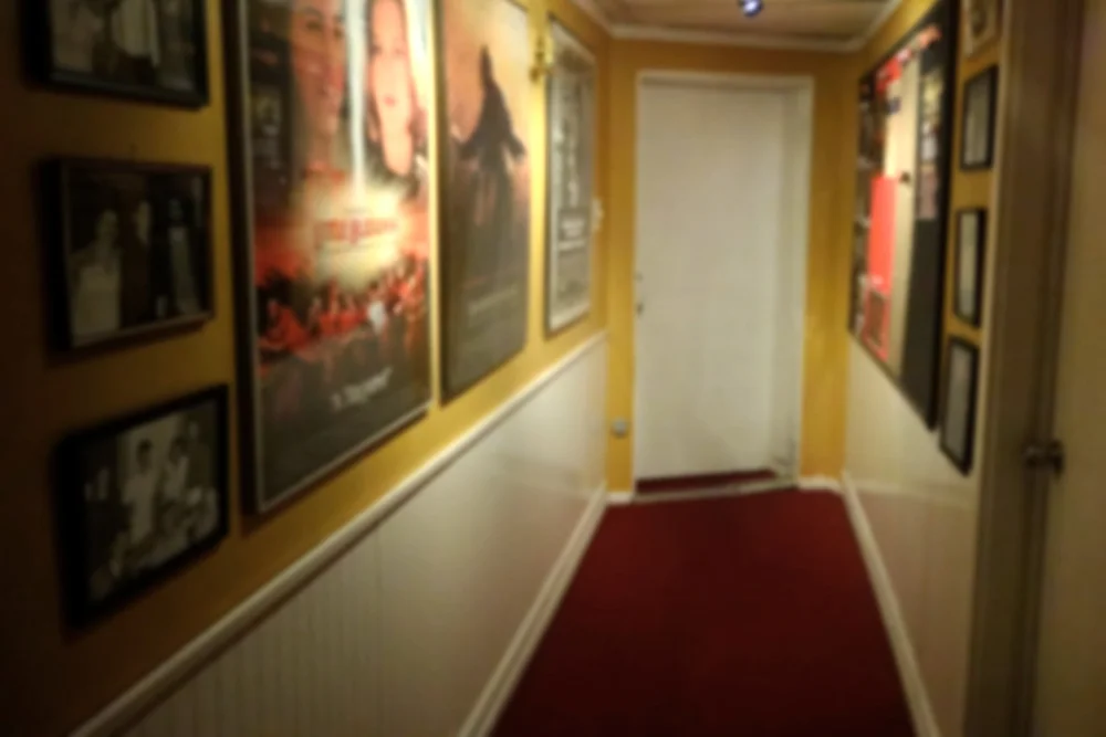 THE CHICAGO ACTORS STUDIO