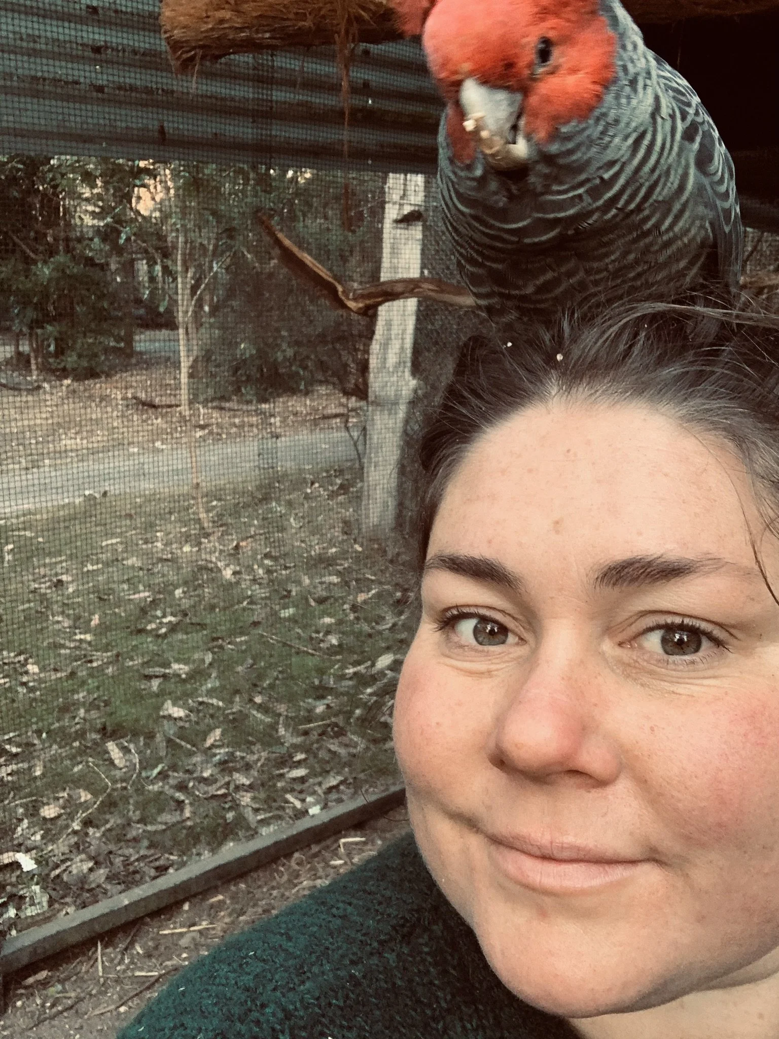 Our Committee — Sapphire Community Pantry