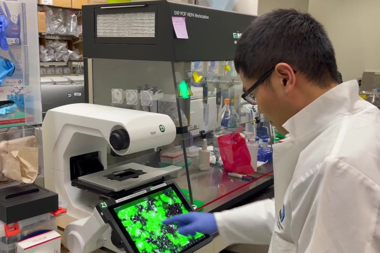 Dr. Joshua Tan's Coronaviruses vs. Fusion Peptides Study