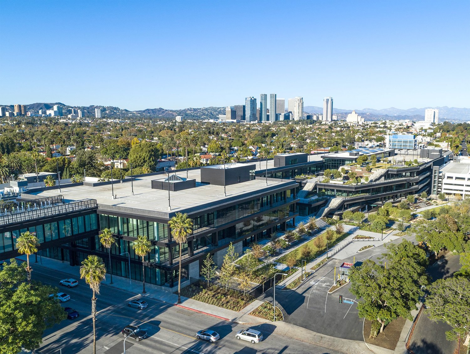Videos | Michelson Medical Research Foundation
