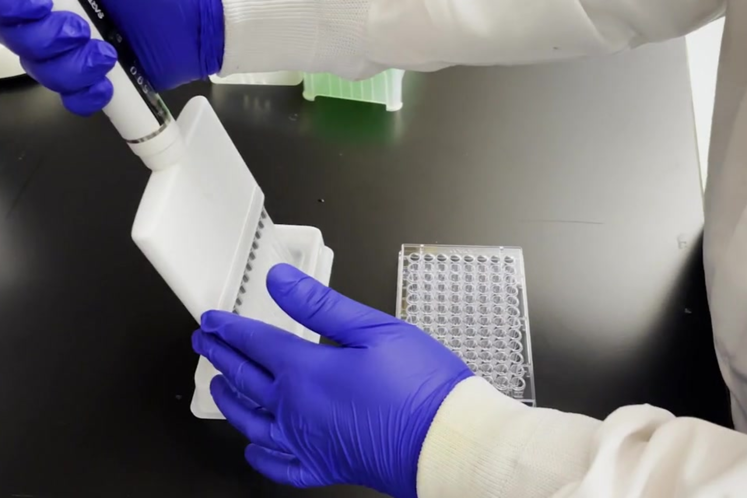 Meet Dr. Jenna Guthmiller, Influenza Vaccine Innovator