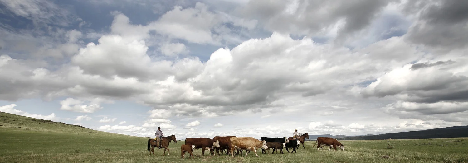 Gallery — X Diamond Ranch