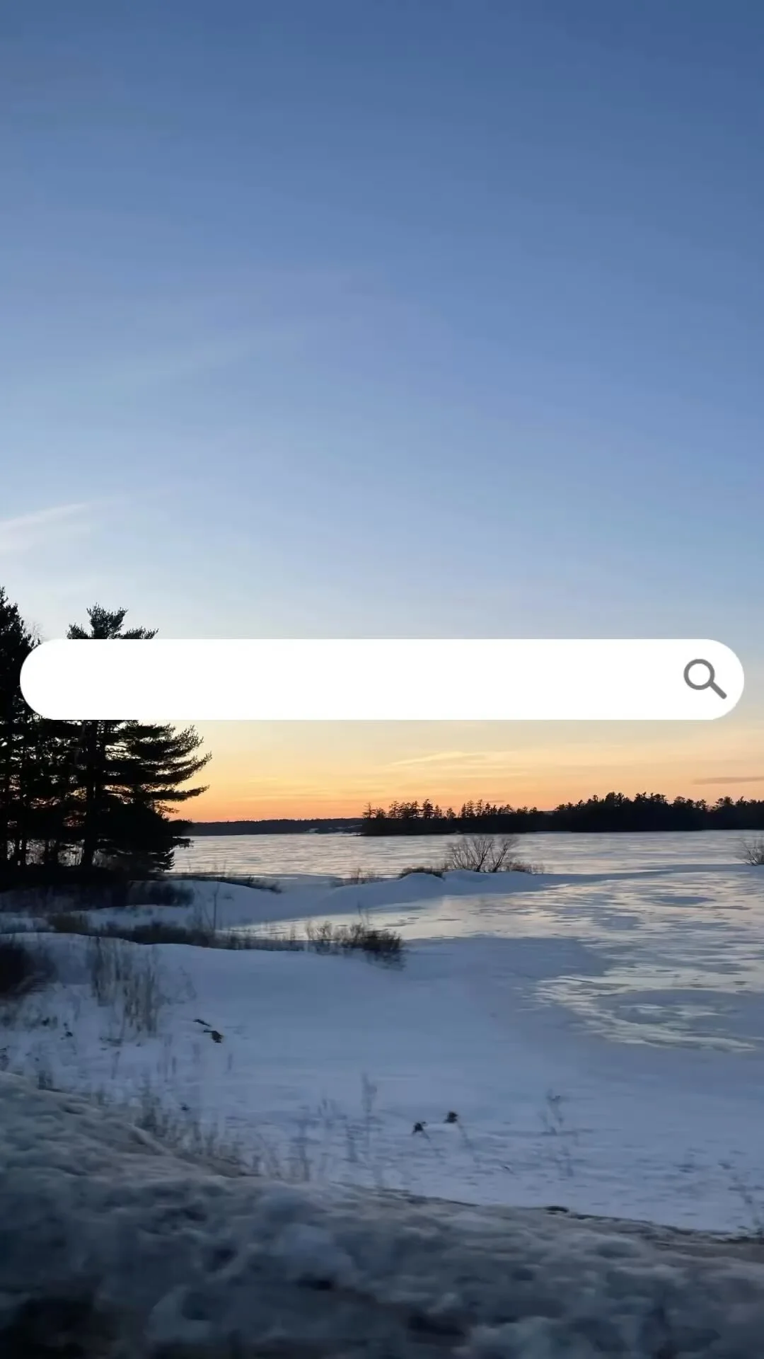 Elisabeth Marnik, PhD