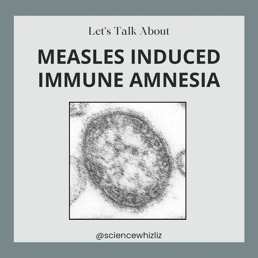 Elisabeth Marnik, PhD