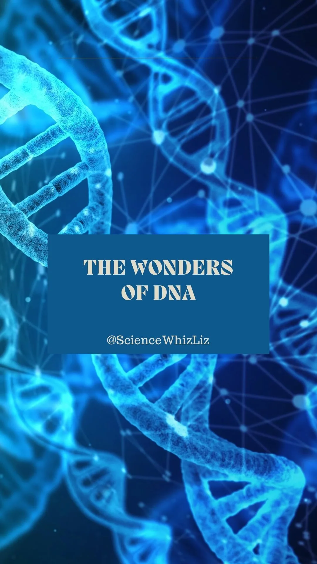 Elisabeth Marnik, PhD