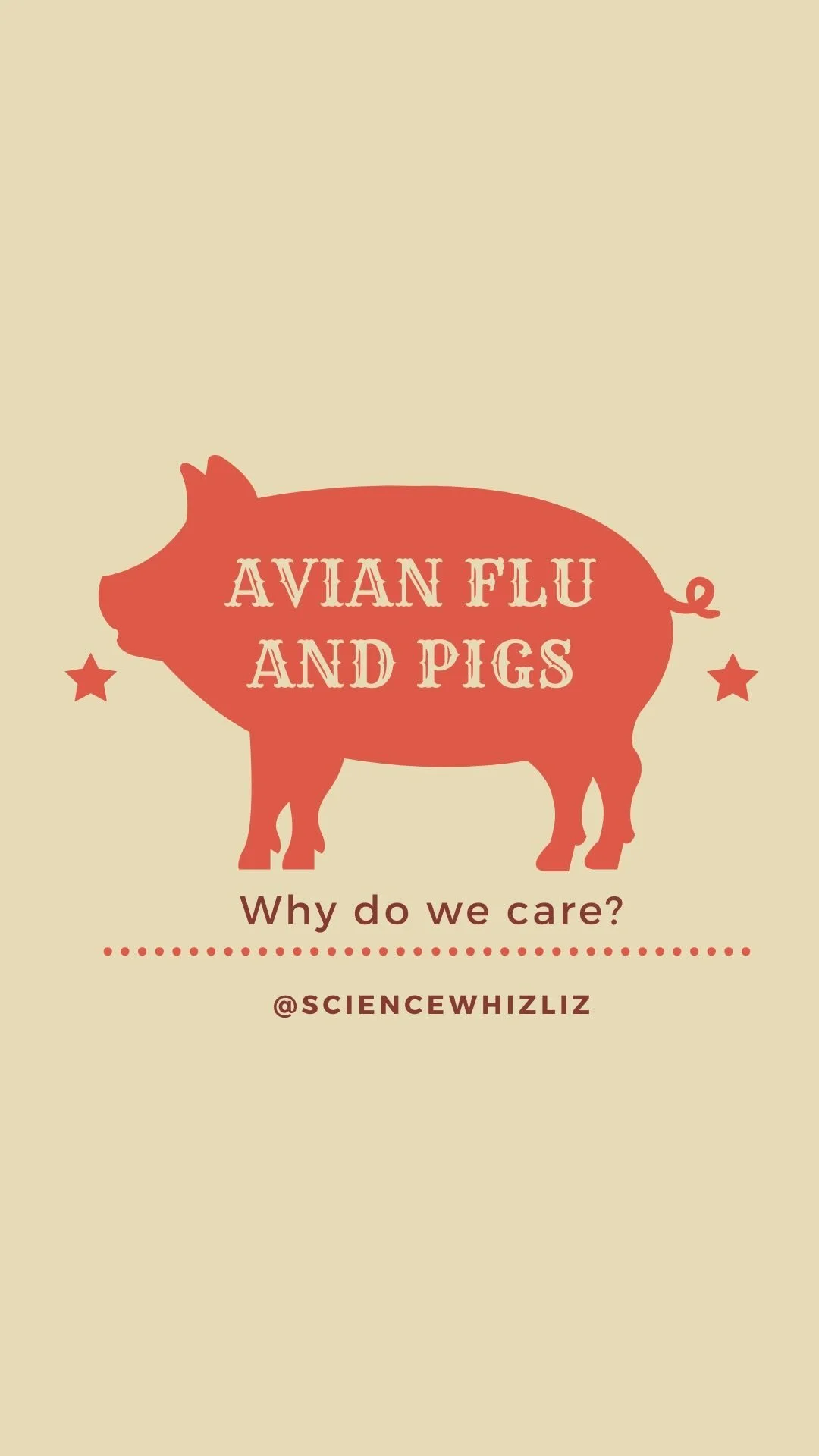 Elisabeth Marnik, PhD