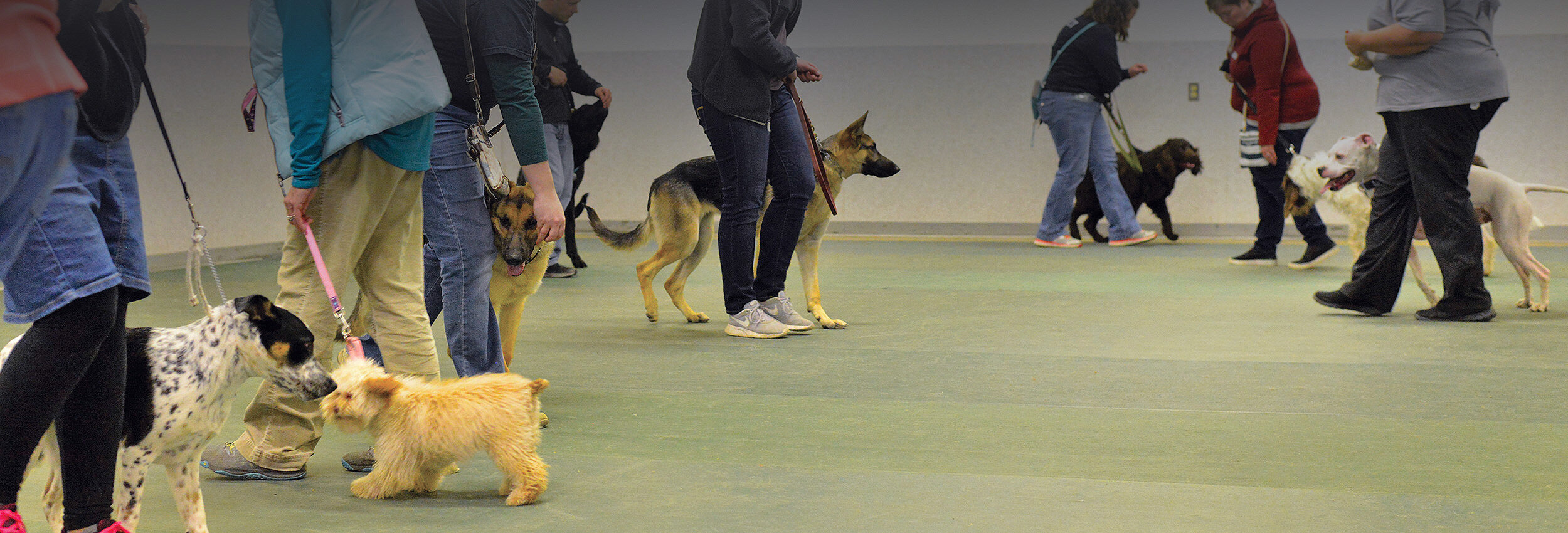 Store 1 — Fort Wayne Obedience Training Club