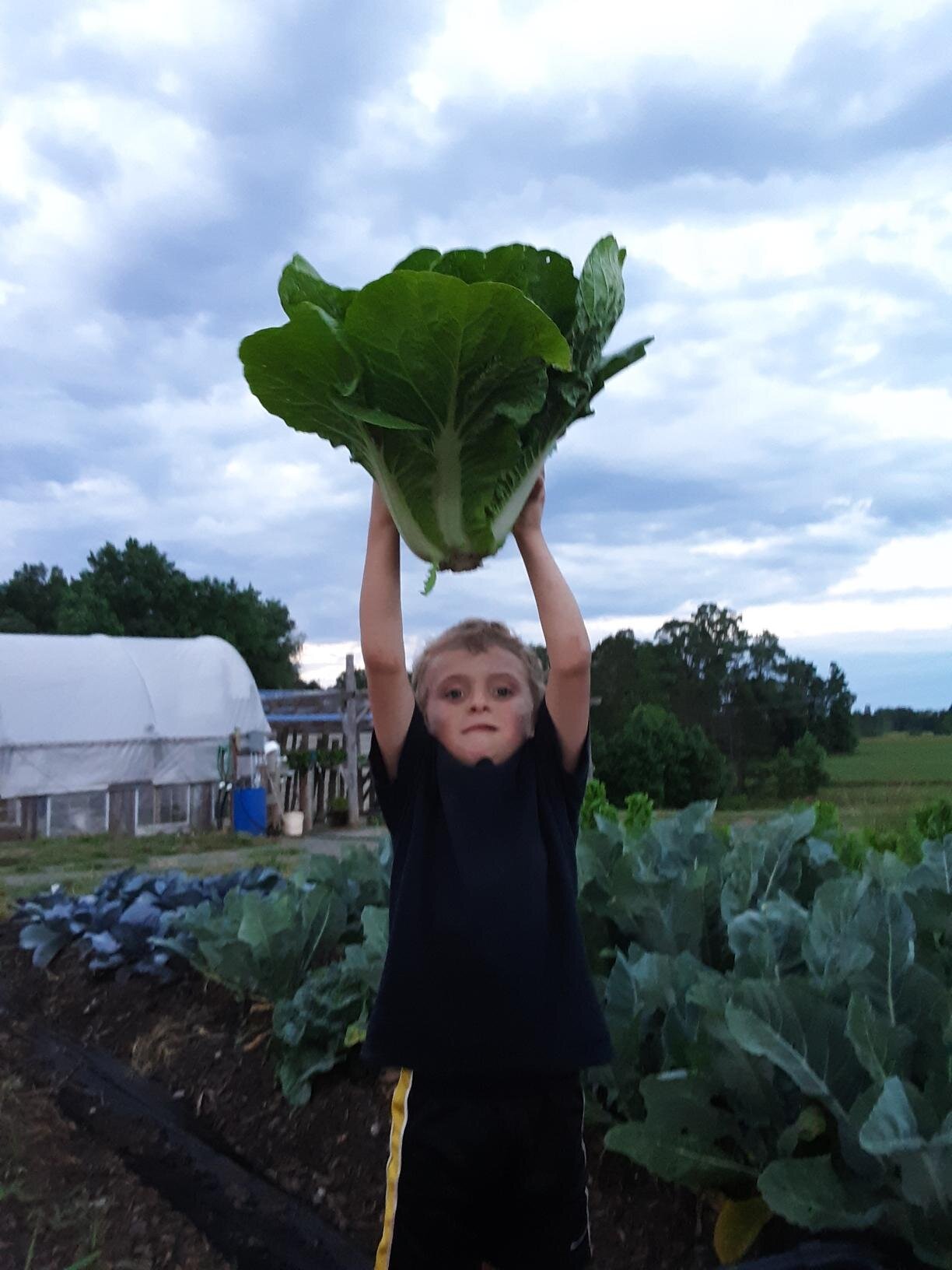 About 4 — Seven Sisters Farm
