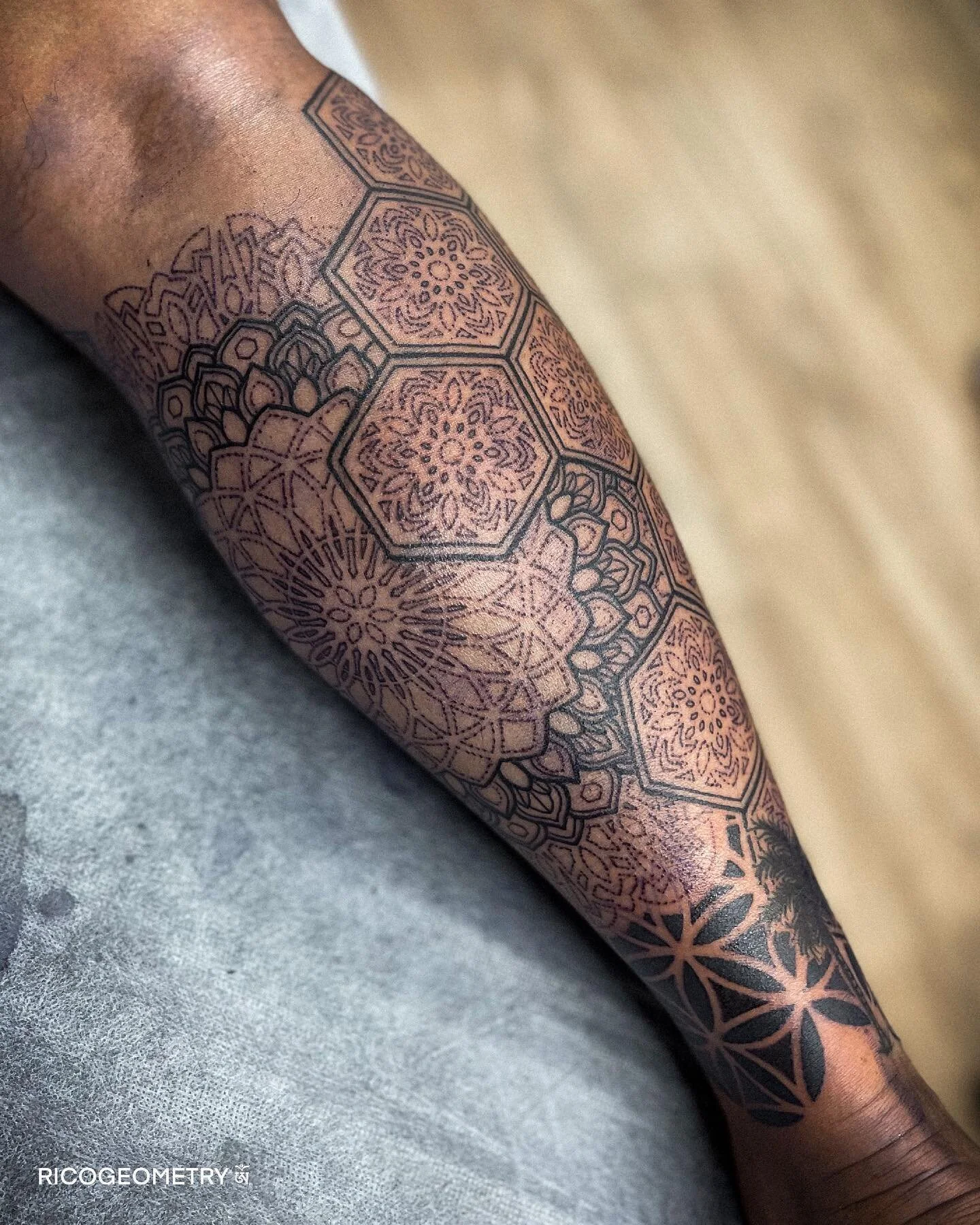 ELLIPSIS TATTOO • GOLD COAST TATTOO STUDIO • ARTISTS