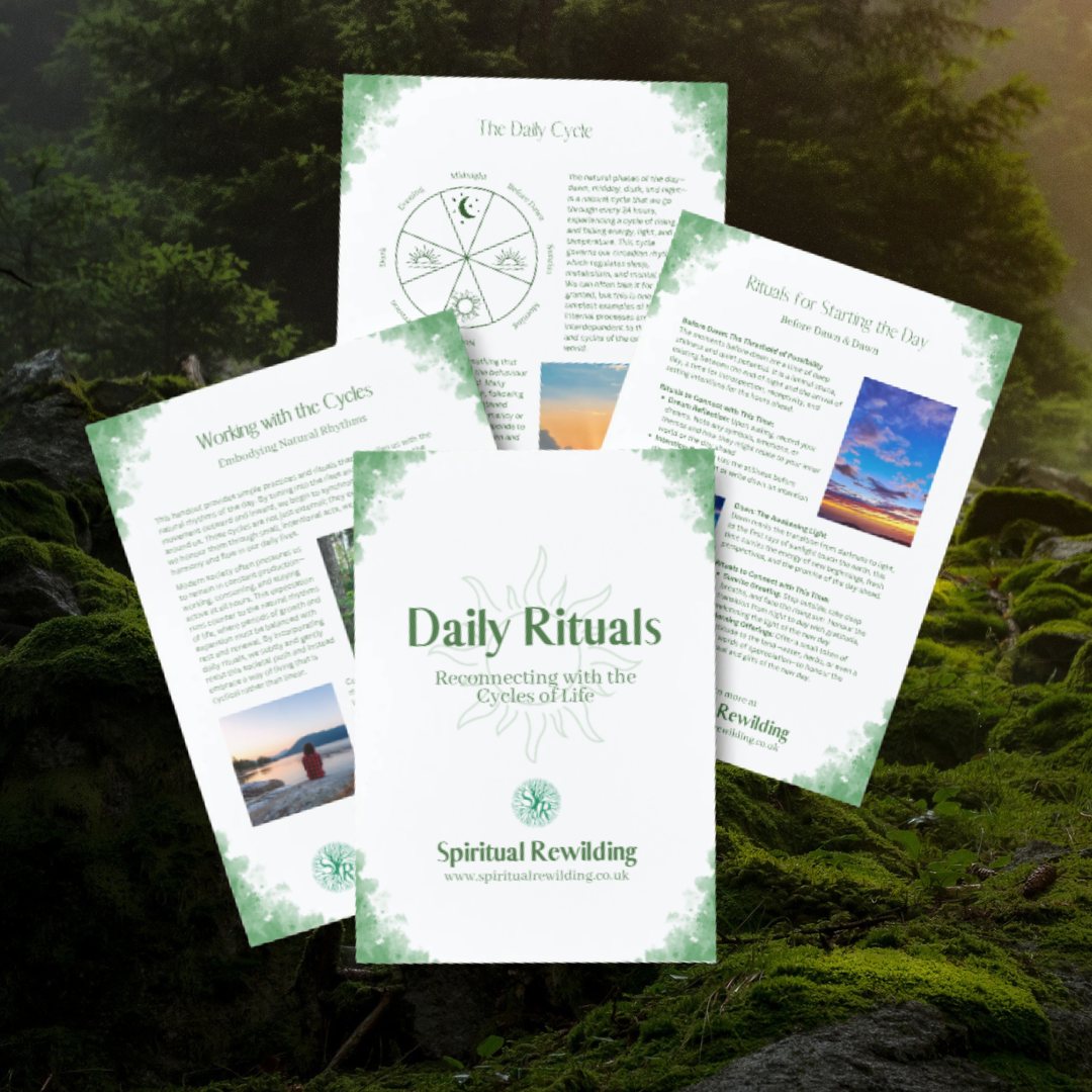 Daily Rituals: Reconnecting with the Cycles of Life — Spiritual Rewilding
