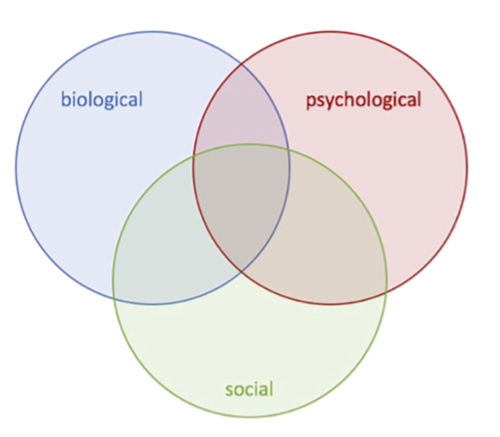 Pourquoi une meilleure compréhension du modèle biopsychosocial est-elle ...