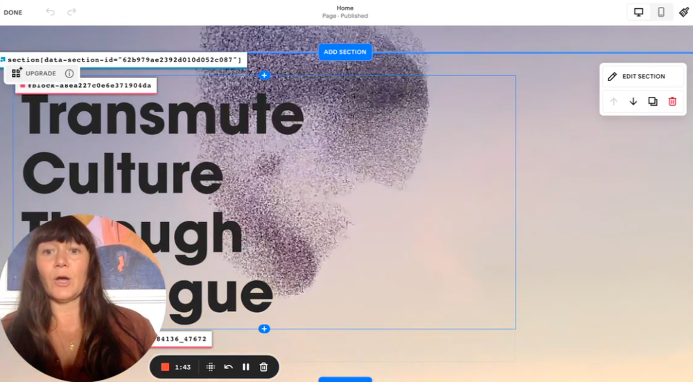 How to Use ID Finder In Squarespace — Senna Studio.