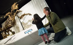 GIANTS — Nomad Exhibitions