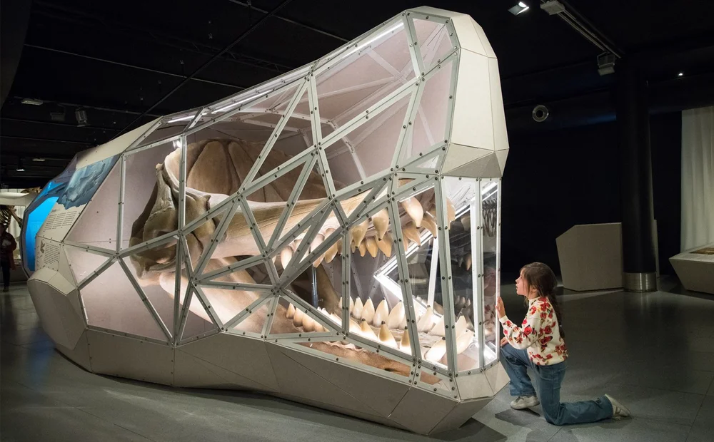 GIANTS — Nomad Exhibitions