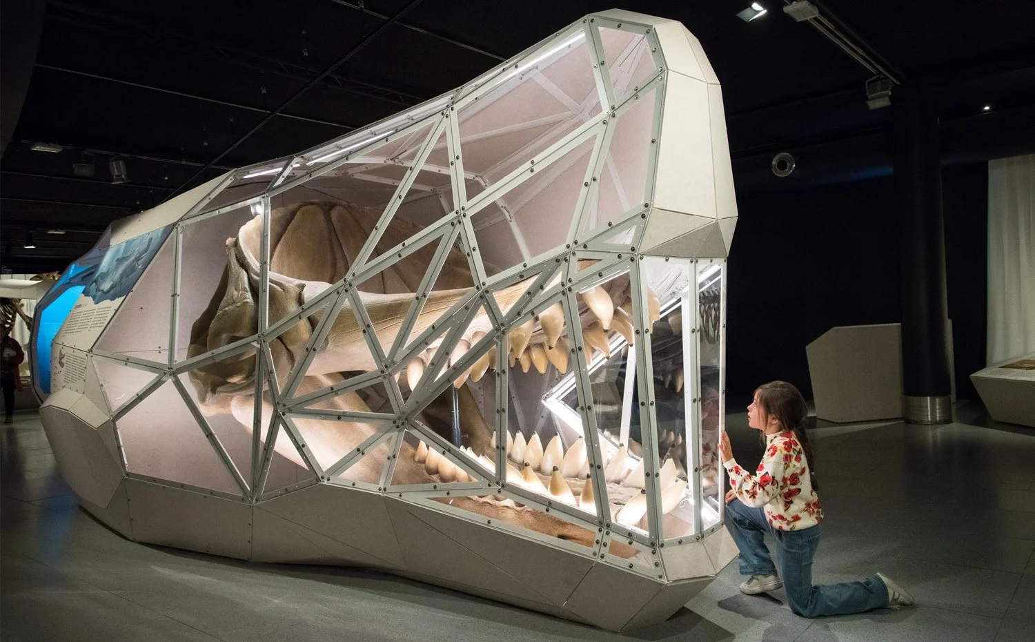 GIANTS — Nomad Exhibitions