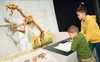 GIANTS — Nomad Exhibitions
