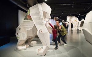 GIANTS — Nomad Exhibitions