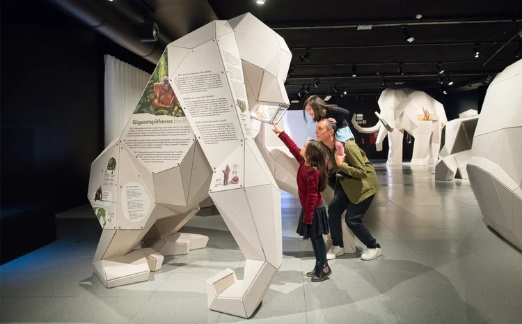 GIANTS — Nomad Exhibitions