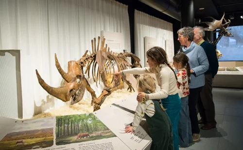 GIANTS — Nomad Exhibitions