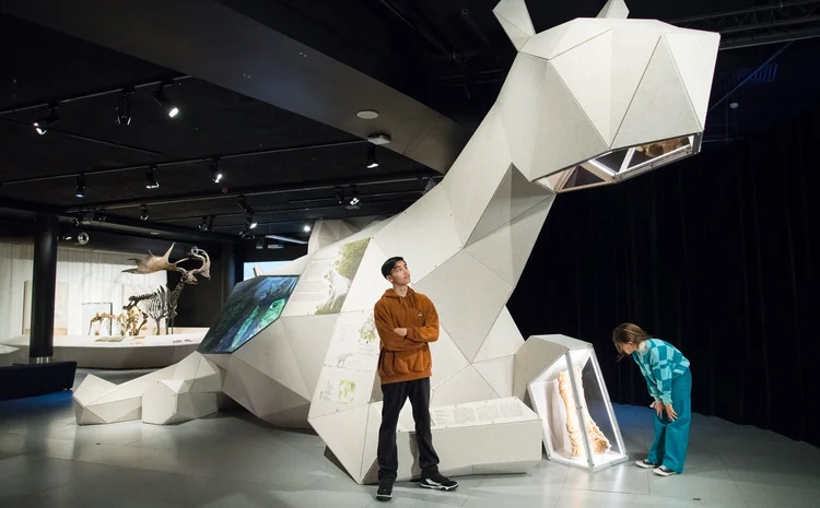 GIANTS — Nomad Exhibitions