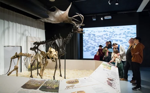 GIANTS — Nomad Exhibitions
