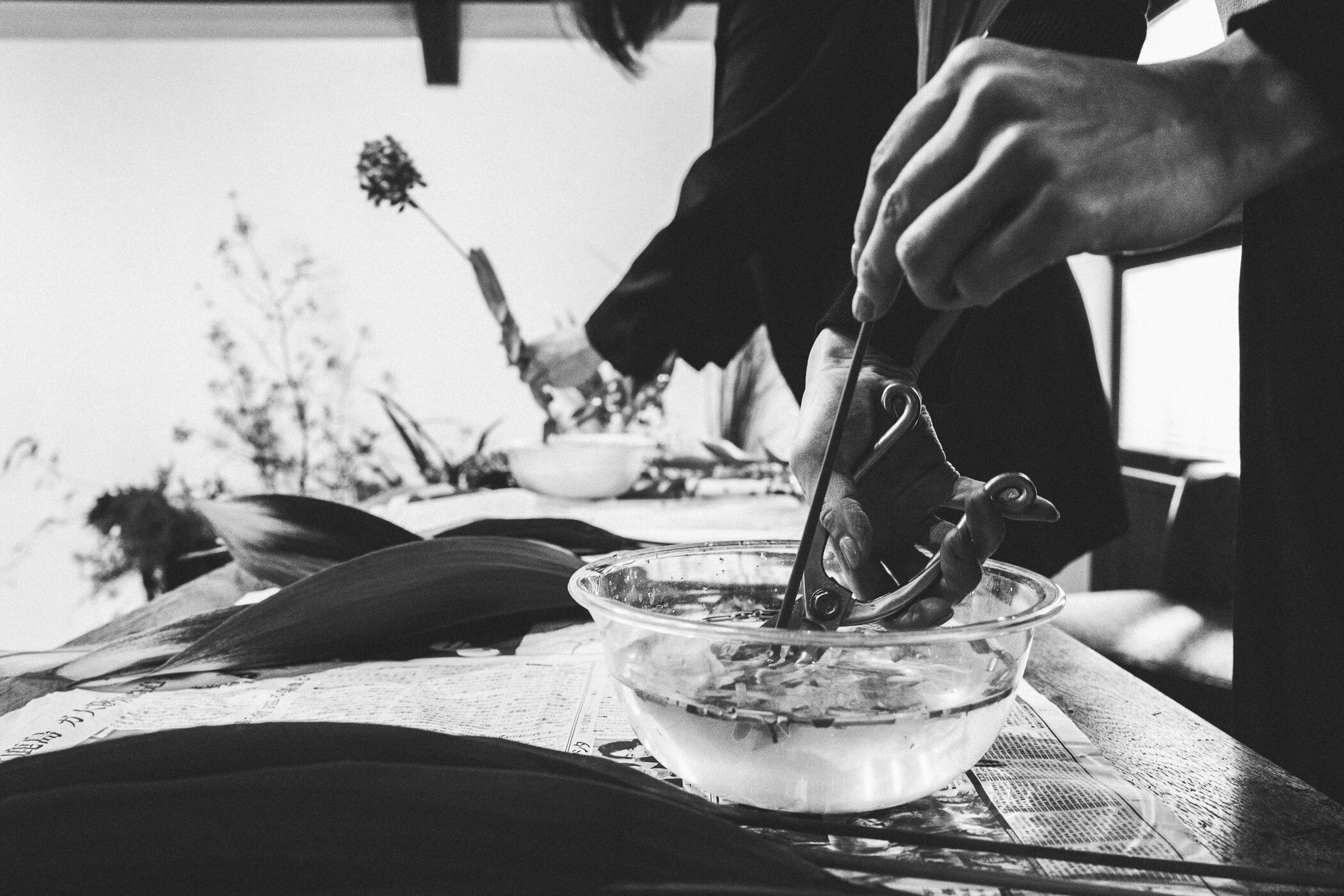 About — IKEBANA projects
