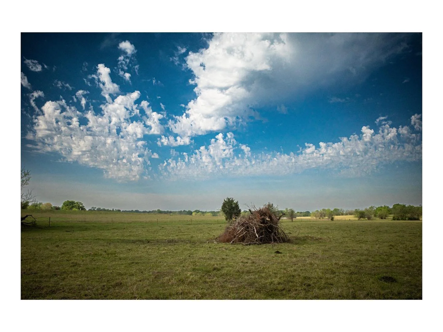 Mark Dauber Photography