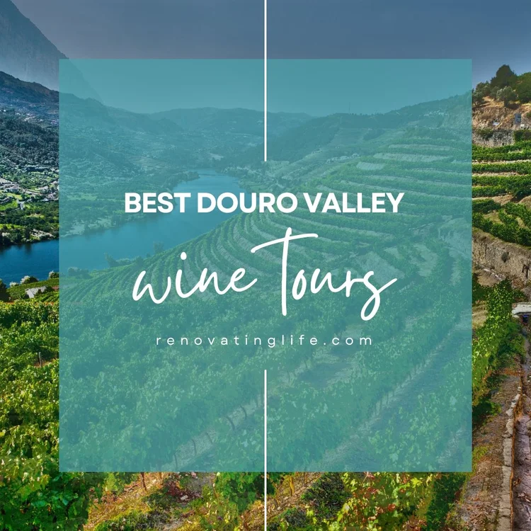 Wines of Portugal: Wine Region Guide + Portugal Wine Map