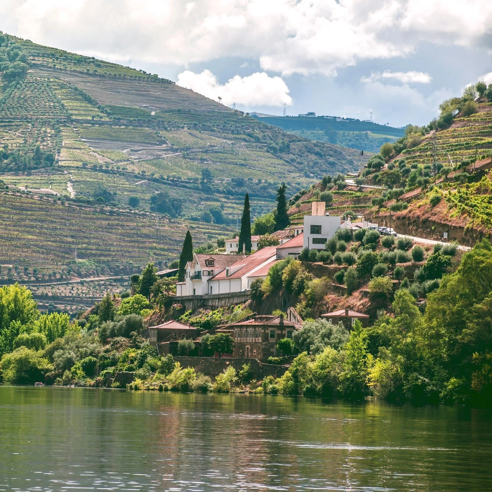 21 Best Douro Valley Tours with Wine Tastings (2024)