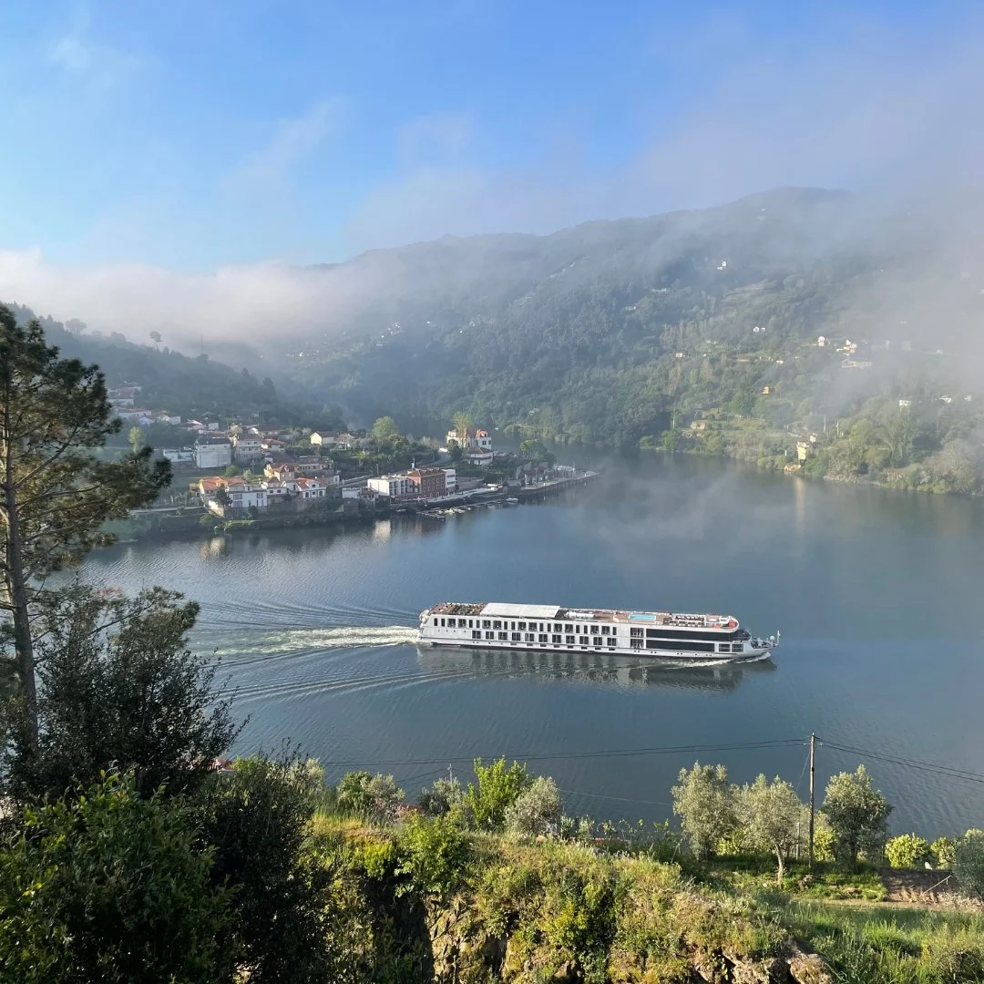 21 Best Douro Valley Tours with Wine Tastings (2024)