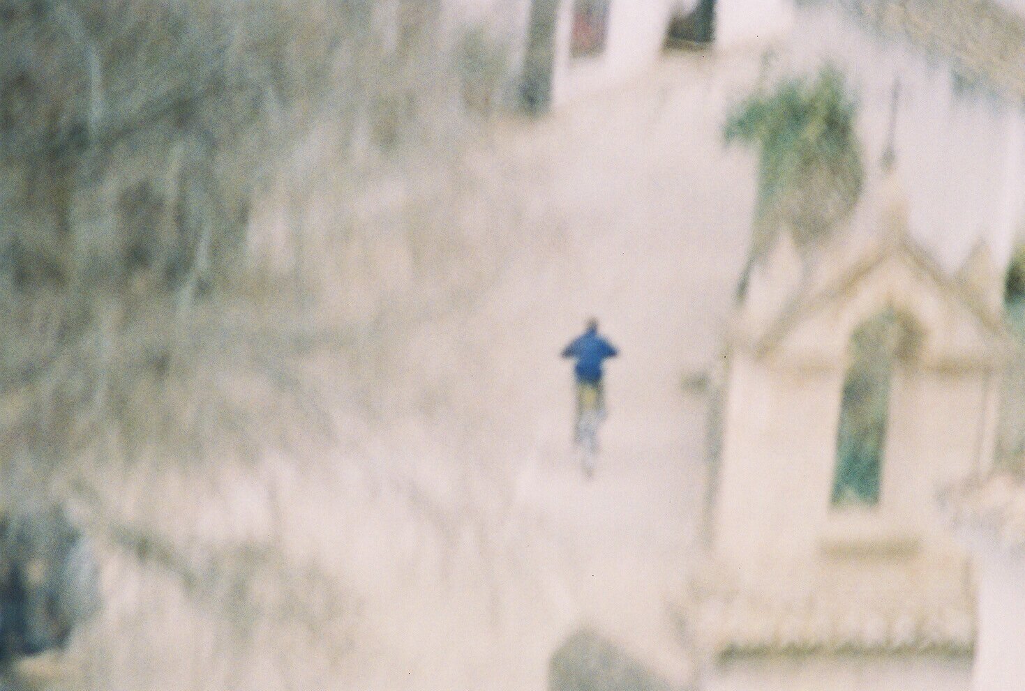 personal projects — nikki levine