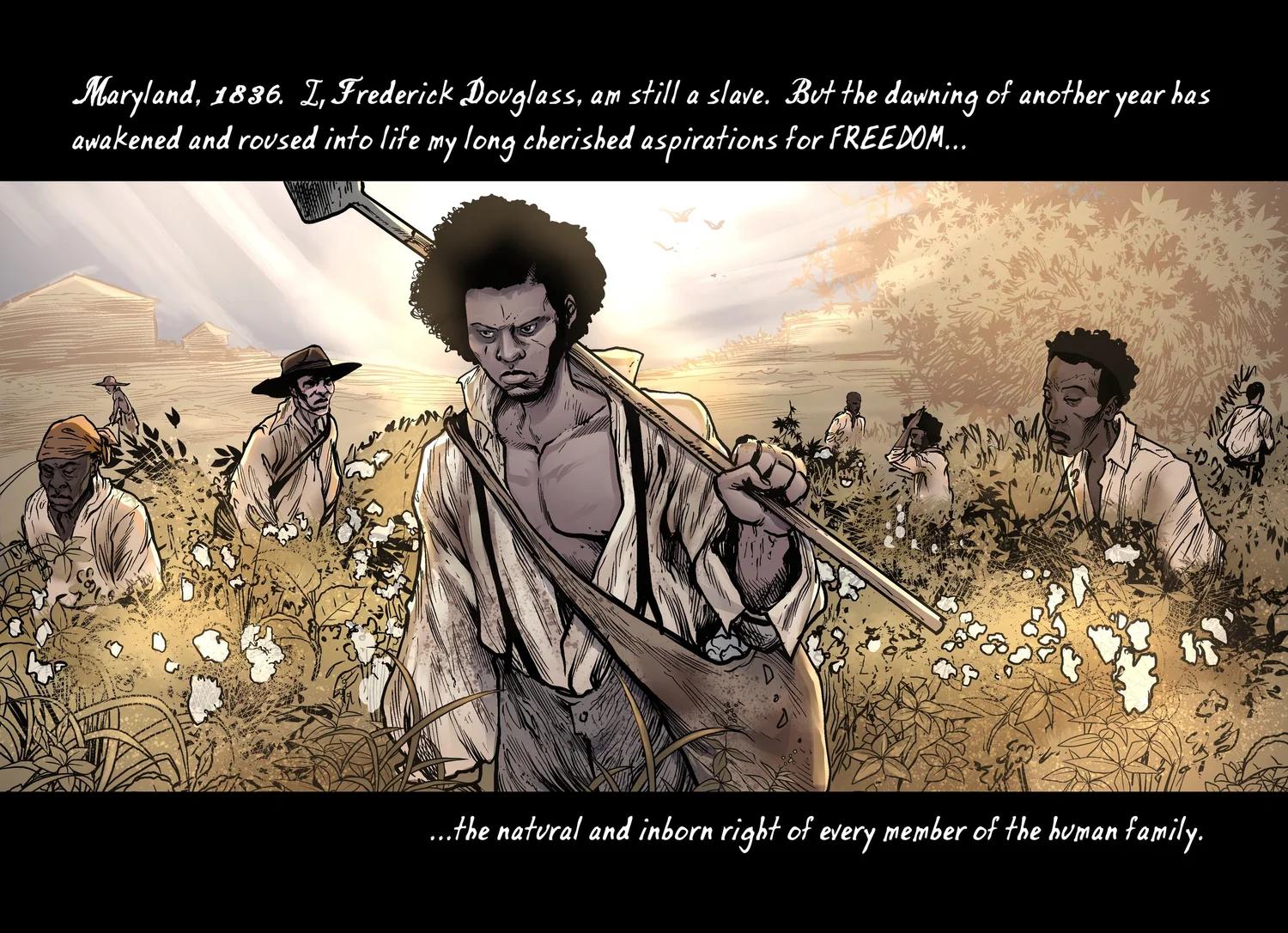 The North Star Graphic Novel