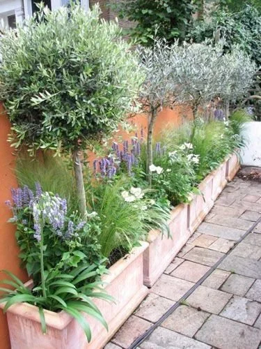 Front garden ideas and inspiration | Kate Wiltshire Design