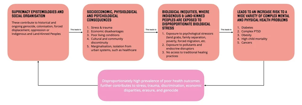 Pathways to Poor Health (Health Injustice) for Indigenous Peoples ...