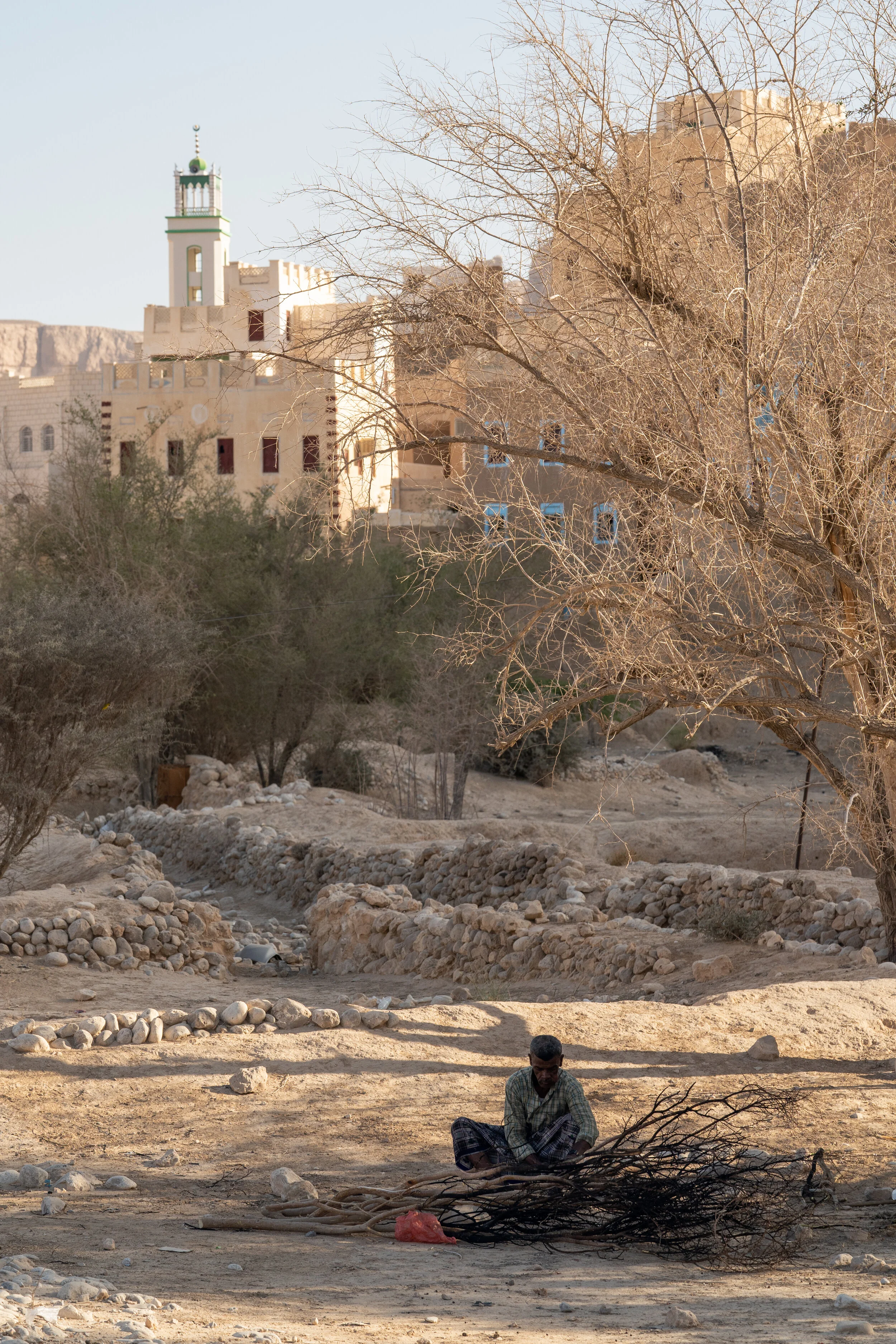 Mud Cities of the Hadhramaut — Matt Reichel