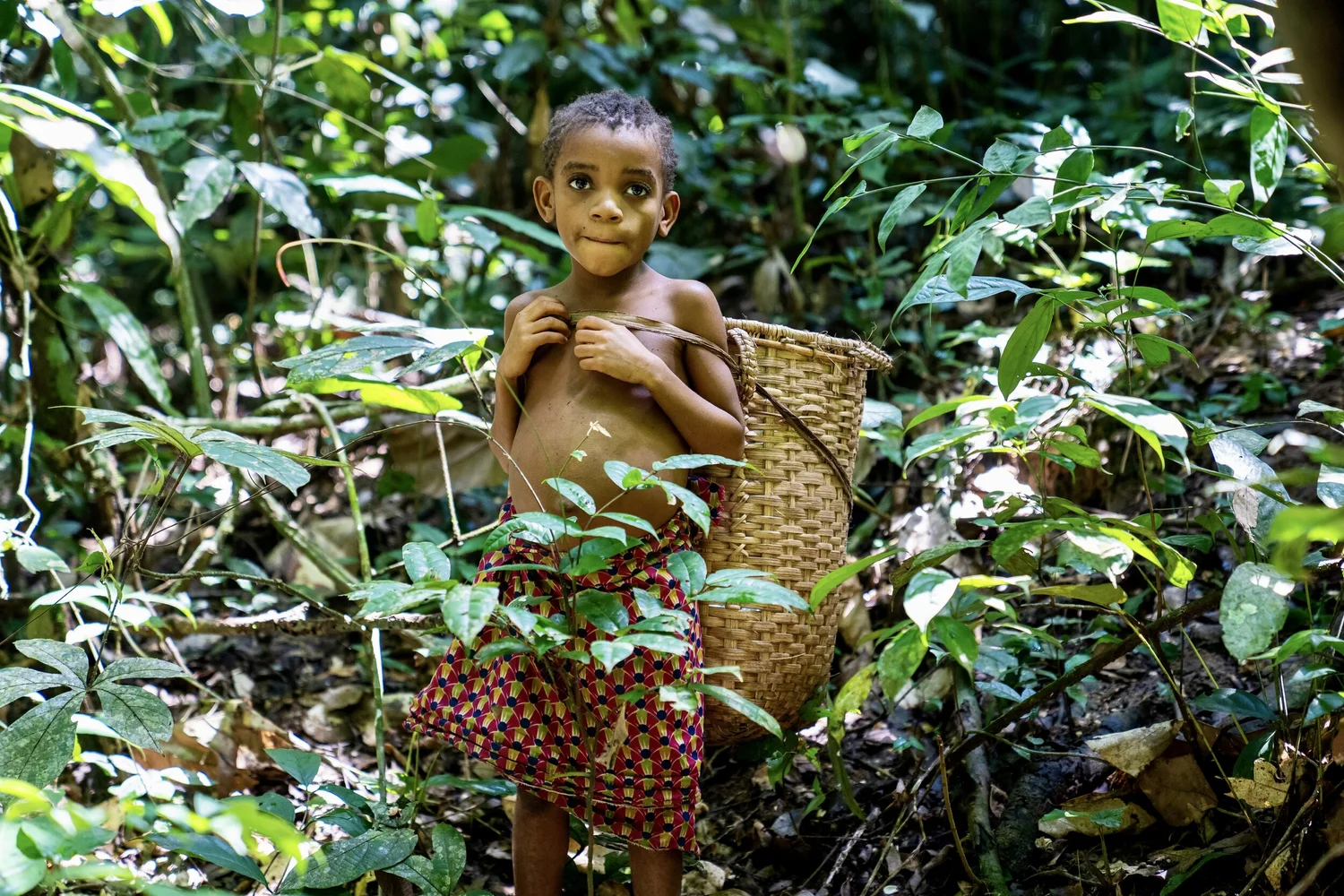 Mbuti: The People of Congo's Ituri Rainforest — Matt Reichel