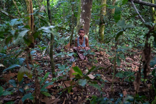 Mbuti: The People of Congo's Ituri Rainforest — Matt Reichel