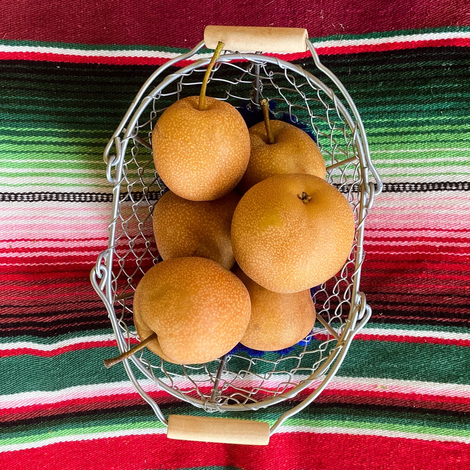 The Orchard — Aravaipa Farms