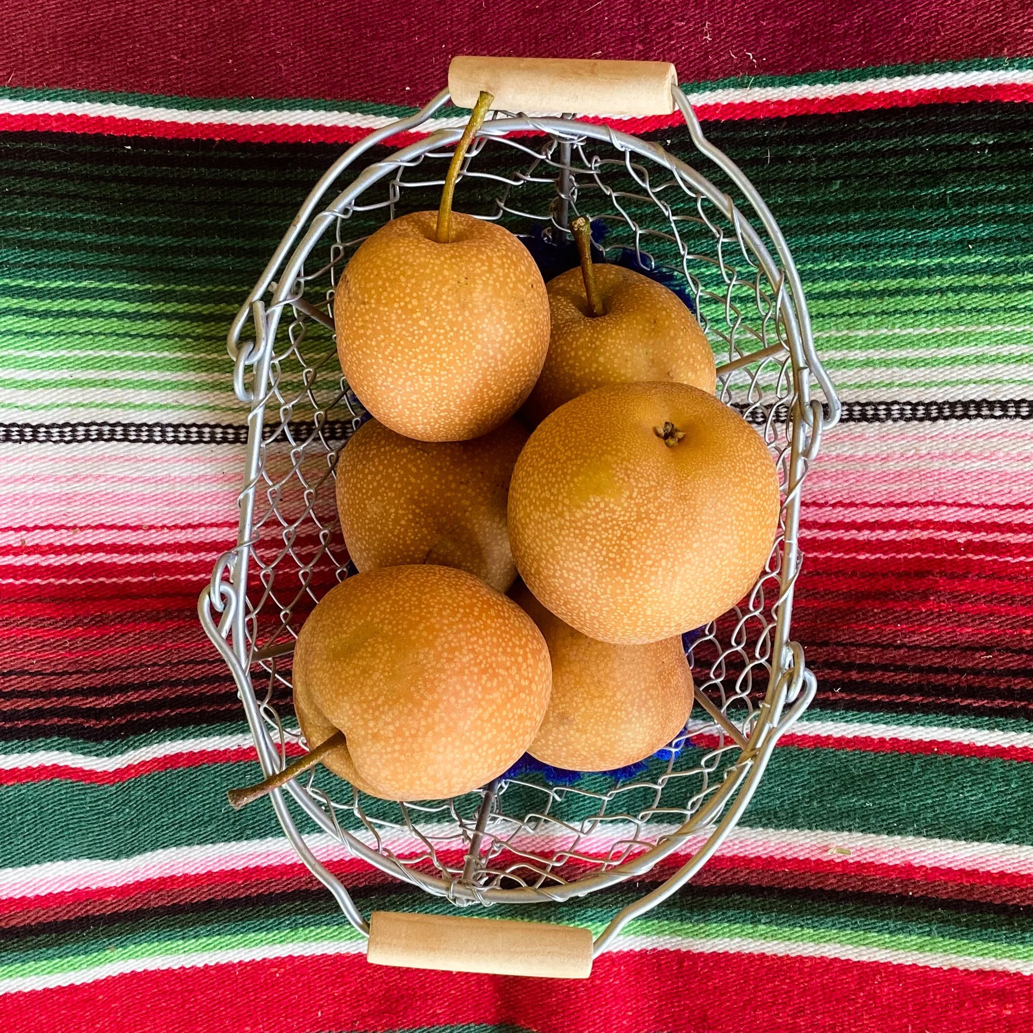 The Orchard — Aravaipa Farms