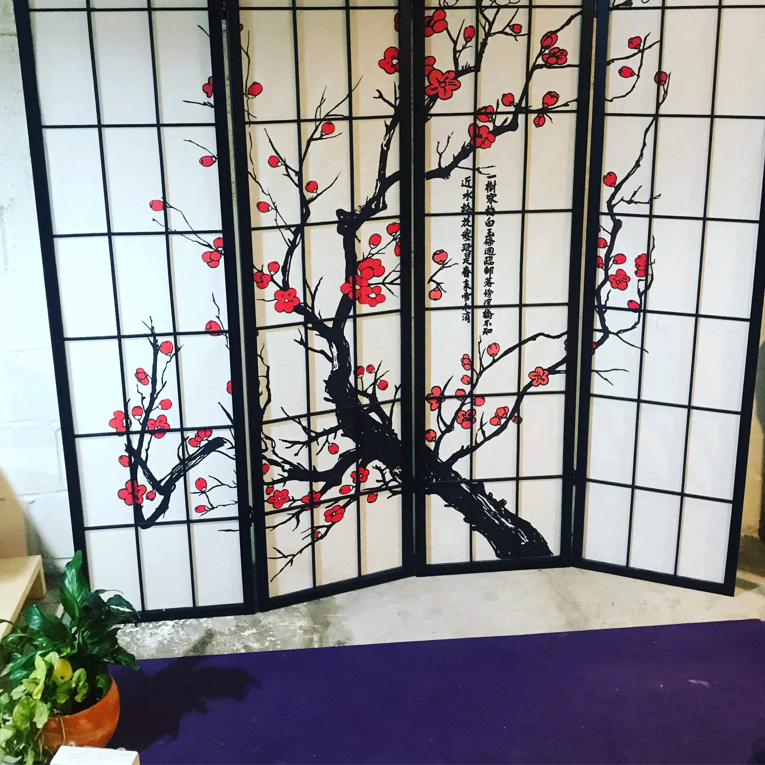 5-Class Pass — Jane Meier Yoga